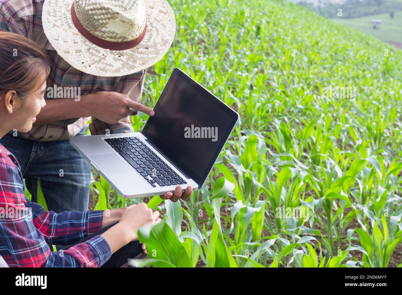 Agronomist examining plant in corn field, Couple farmer and researcher ...