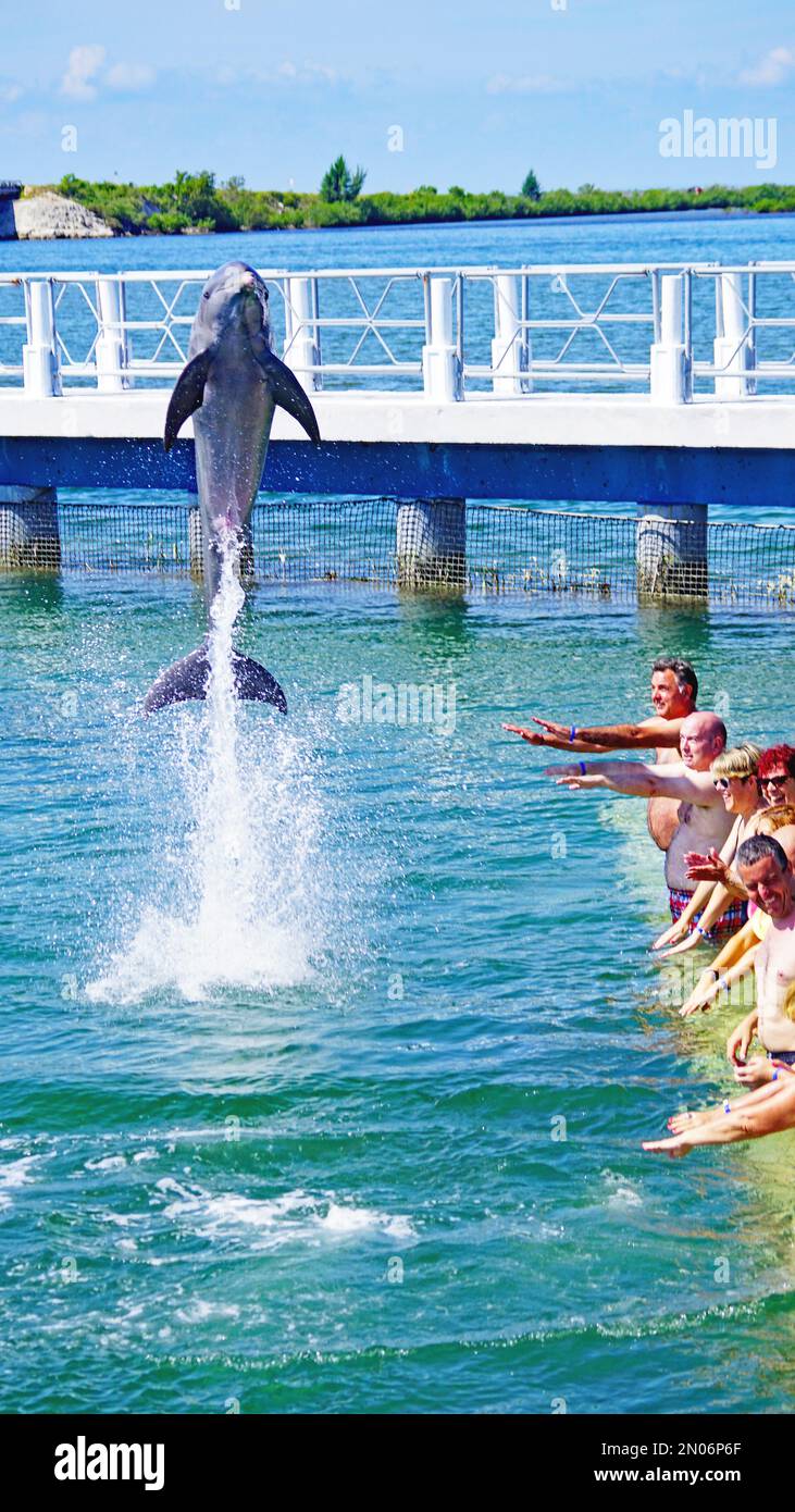 Dolphinarium in Cayo Santa María in the Caribbean, Republic of Cuba ...