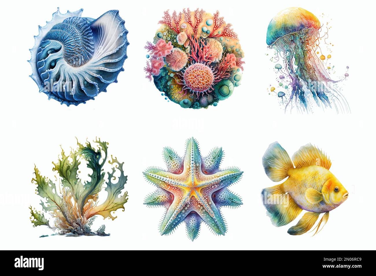 Beautiful Sea Creatures