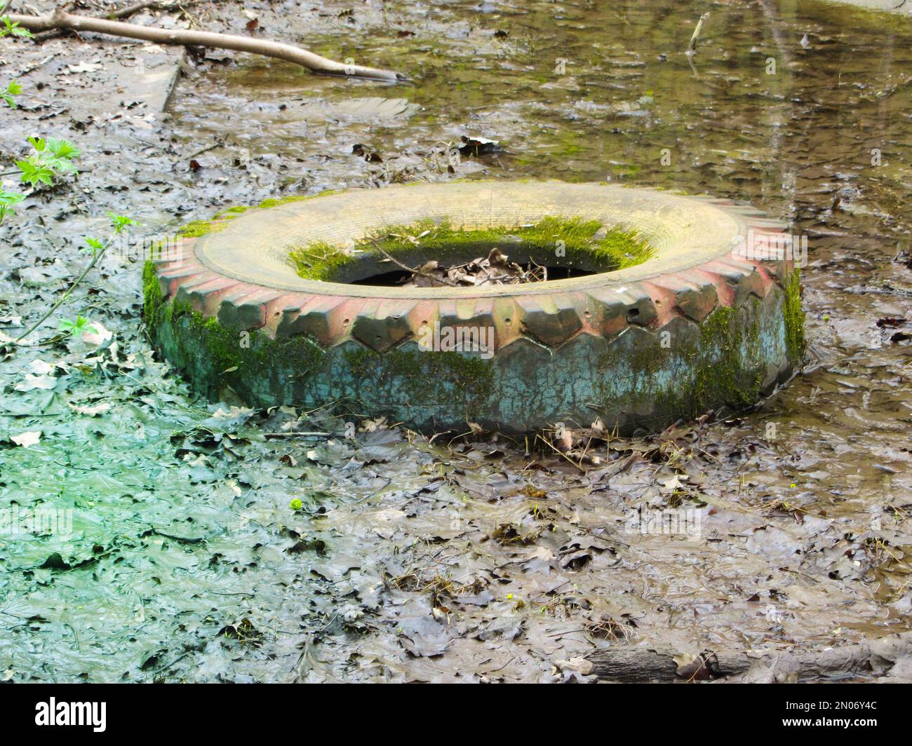 Trash in nature. Old truck tyre discarded in a forest covered in moss. Pollution and a bad ...