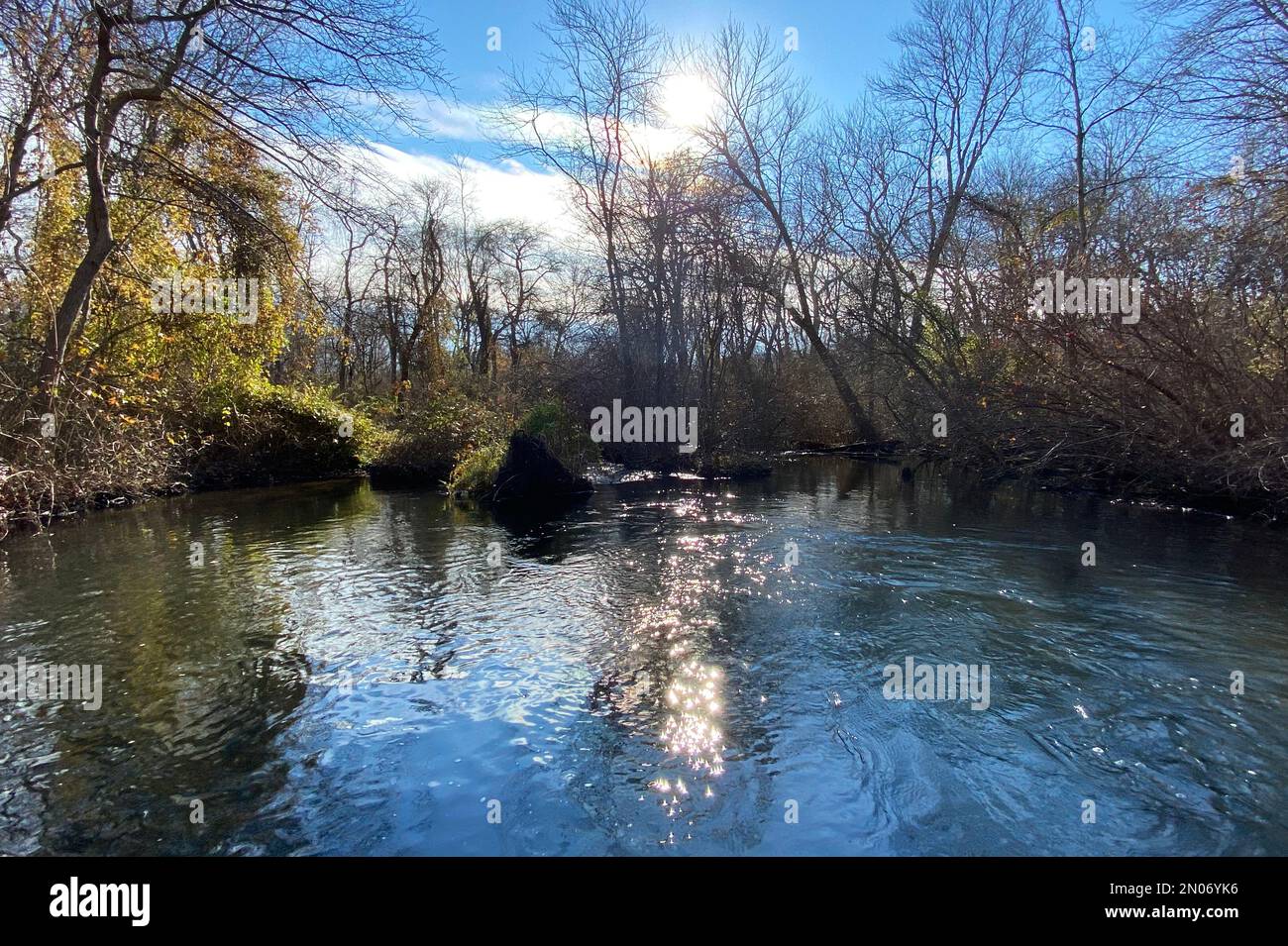 Water flowing downstream with the sun shining through the winter trees and reflecting on the ...