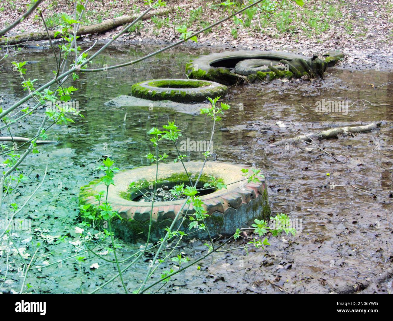Trash in nature. Old truck tyre discarded in a forest covered in moss. Pollution and a bad ...