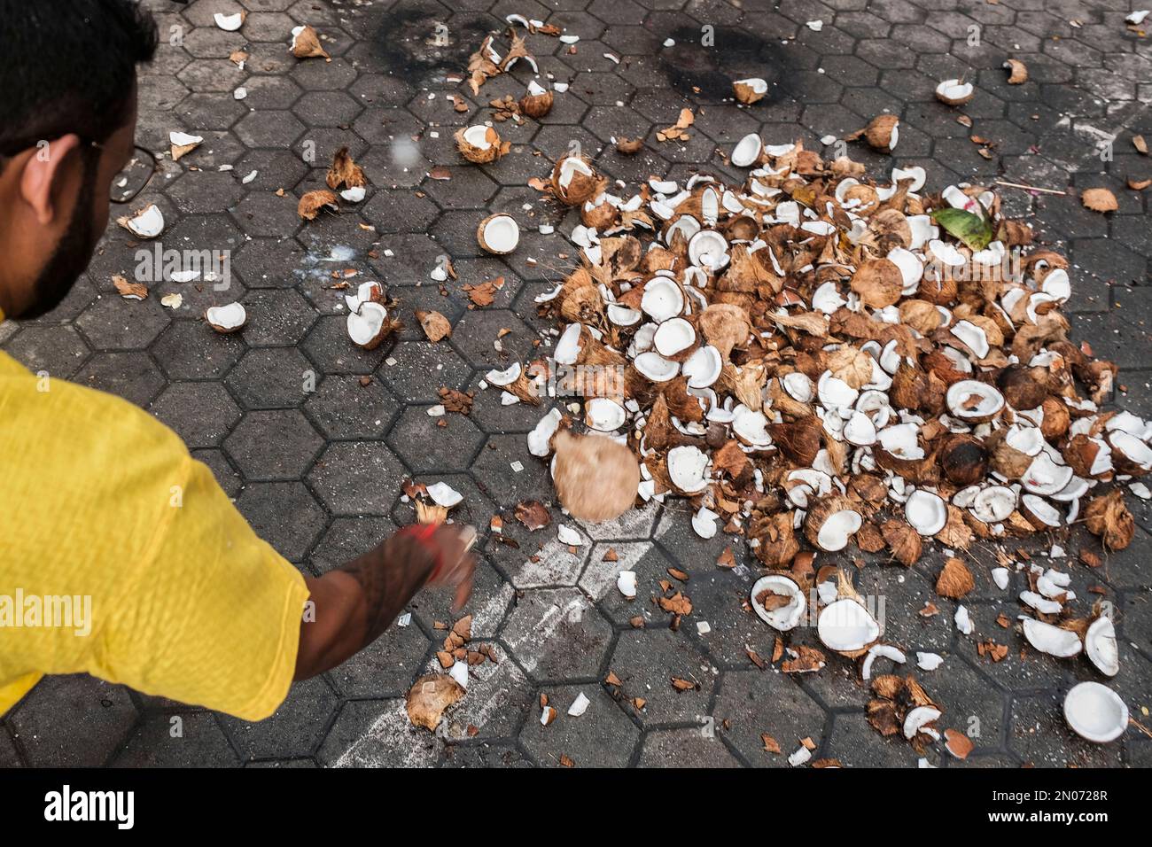 A Hindu devotee seen smashing a coconut during the Thaipusam festival ...