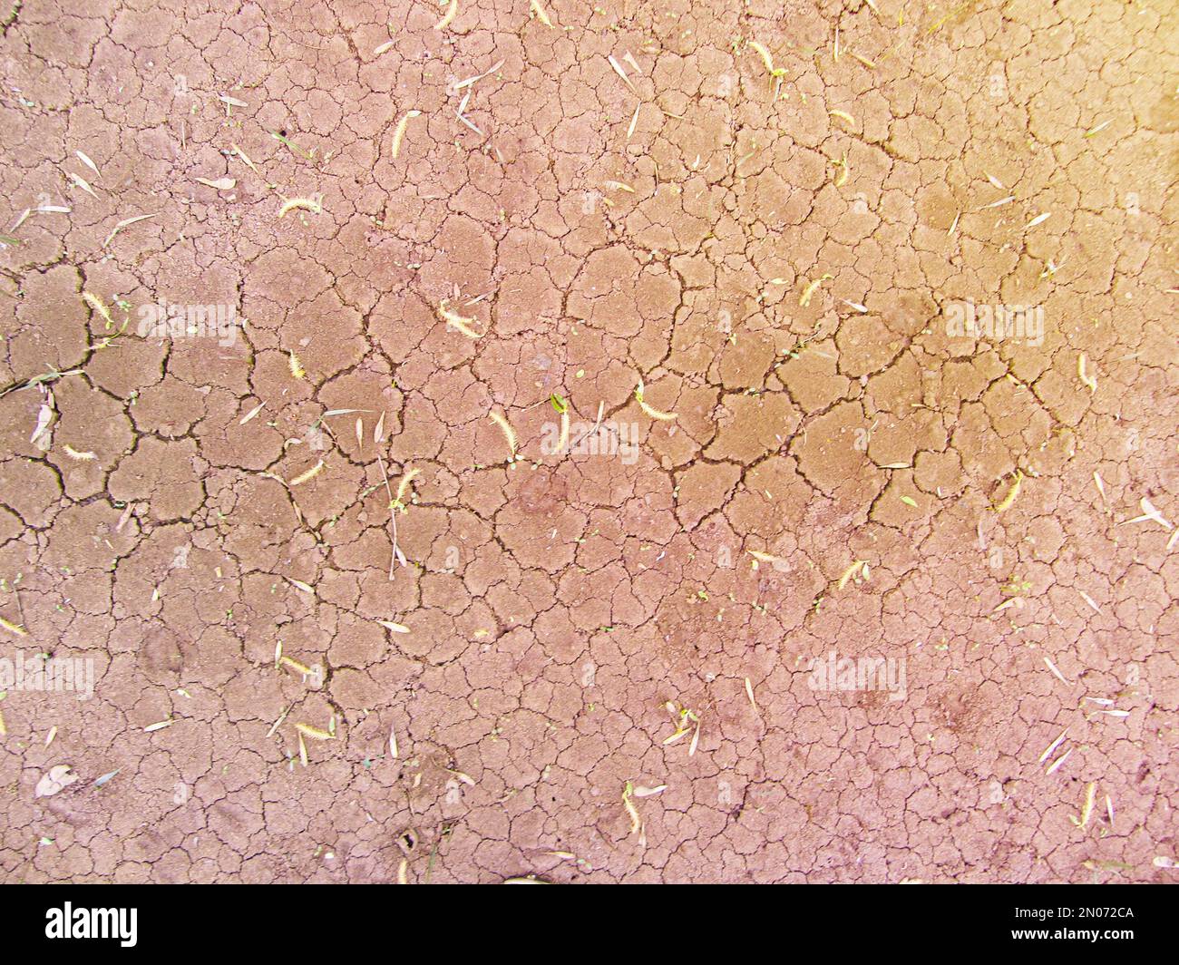 Drought, the ground cracks, no hot water, lack of moisture. cracks in ...