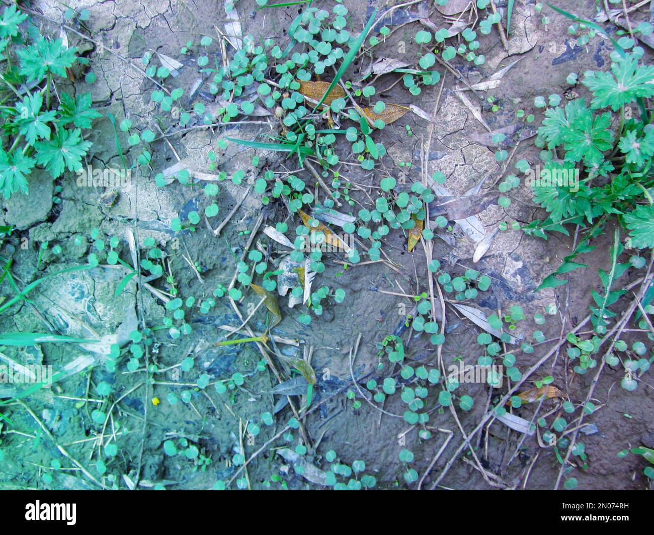 Drought, the ground cracks, no hot water, lack of moisture. cracks in ...