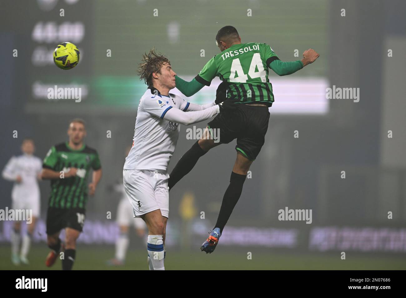 Ruan atalanta hi-res stock photography and images - Alamy