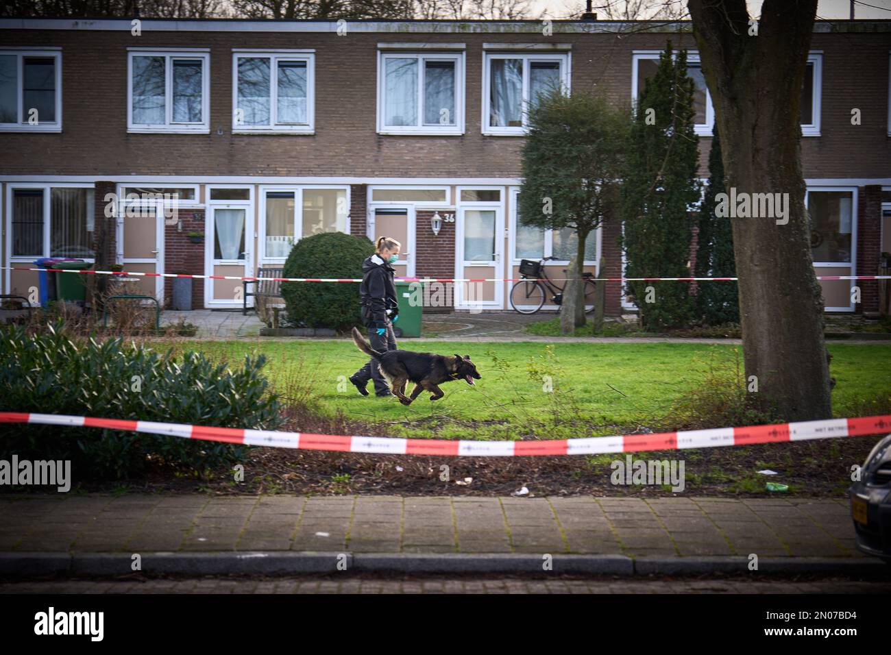 Person investigating architecture hi-res stock photography and images ...
