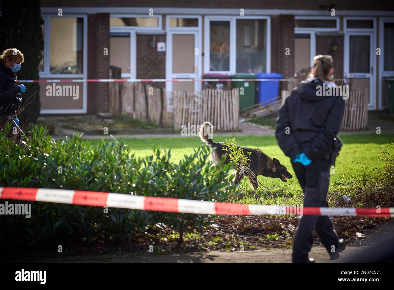 Person investigating architecture hi-res stock photography and images ...