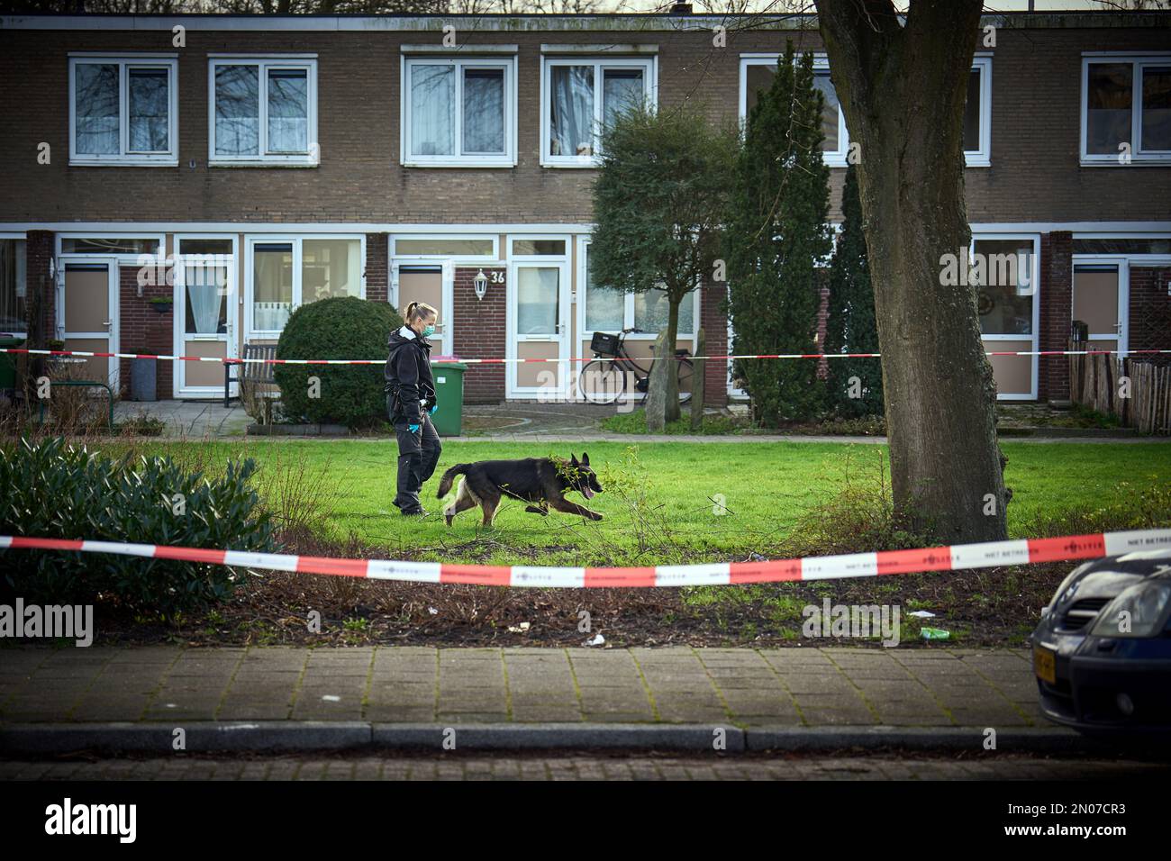 DELFT - Police are investigating with a dog at the place where a person ...