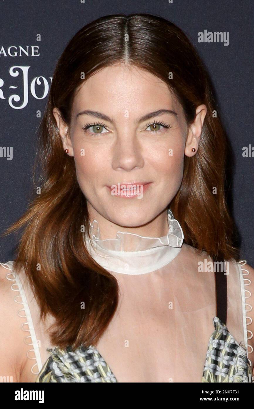 Michelle Monaghan arrives at the 9th Annual Women in Film Pre-Oscar ...