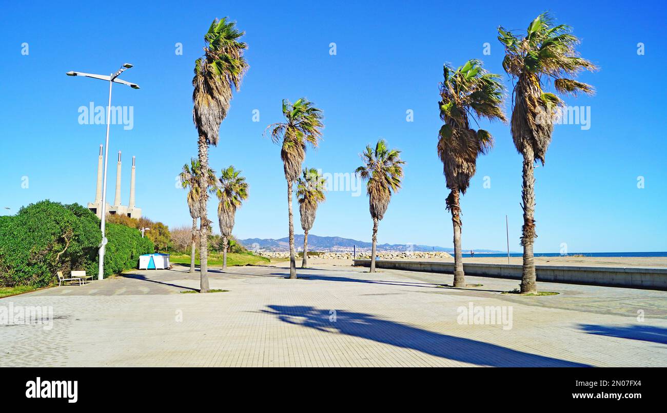 Gardens and beach of Sant Adria del Besos, Barcelona, Catalunya, Spain ...