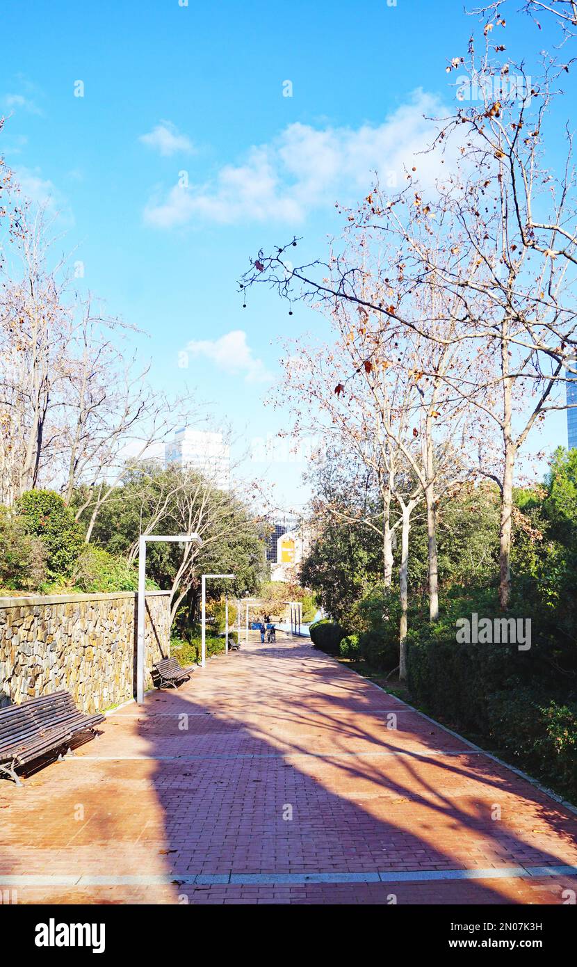 Catalunya park and urban landscape gardens and modern architecture in ...