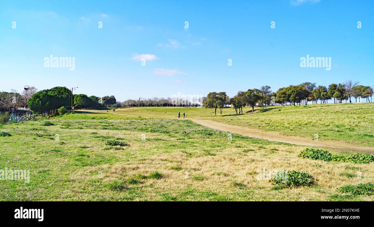 Catalunya park and urban landscape gardens and modern architecture in ...