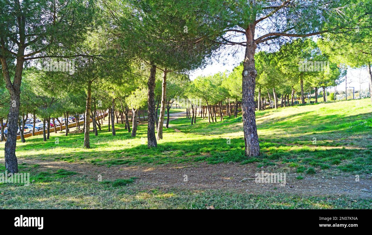 Catalunya park and urban landscape gardens and modern architecture in ...