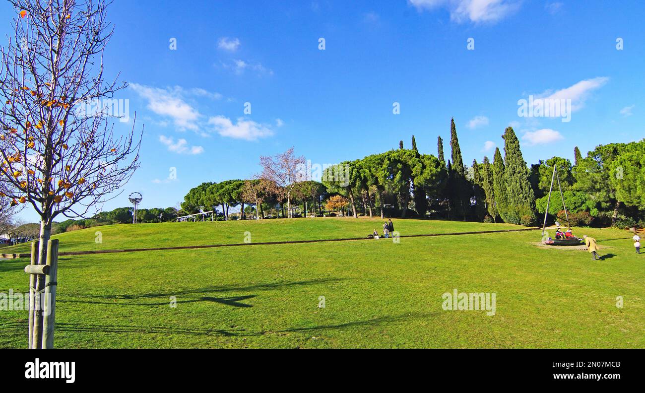 Catalunya park and urban landscape gardens and modern architecture in ...