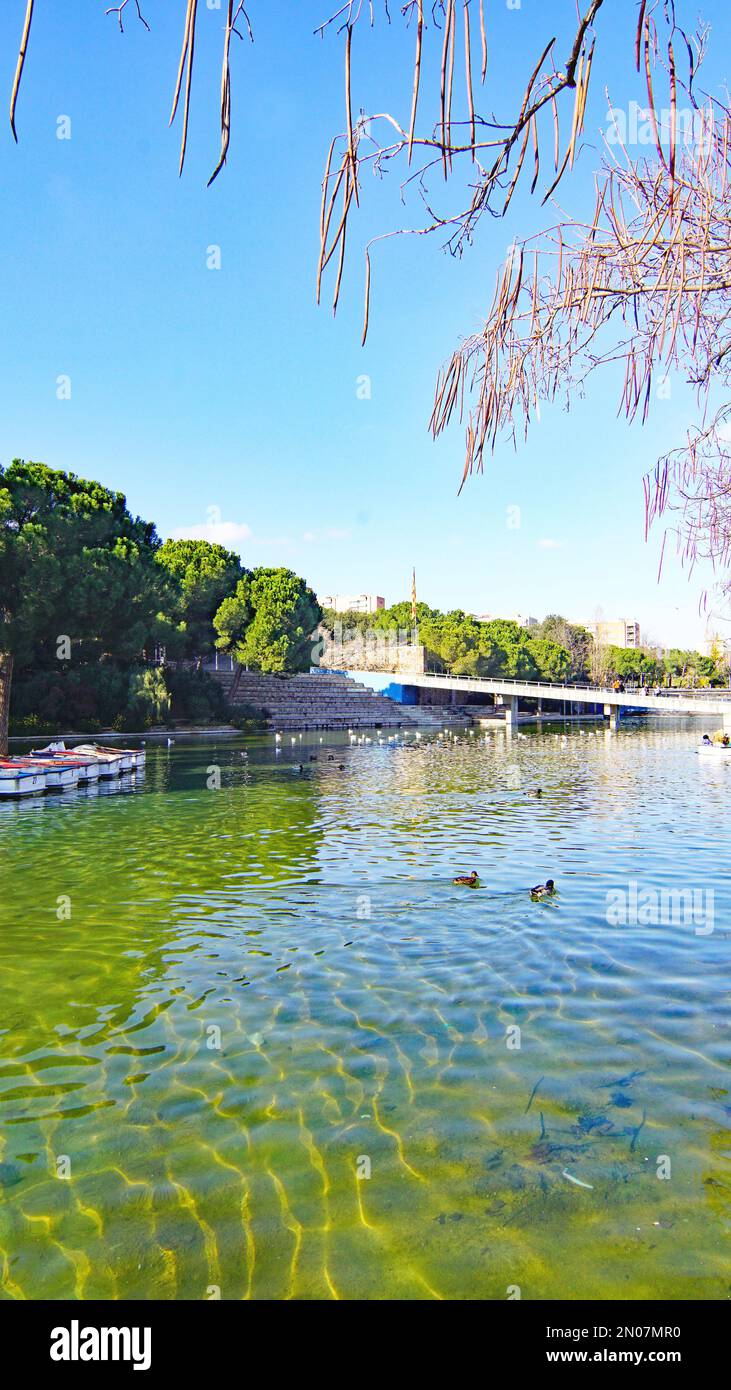 Catalunya park and urban landscape gardens and modern architecture in ...