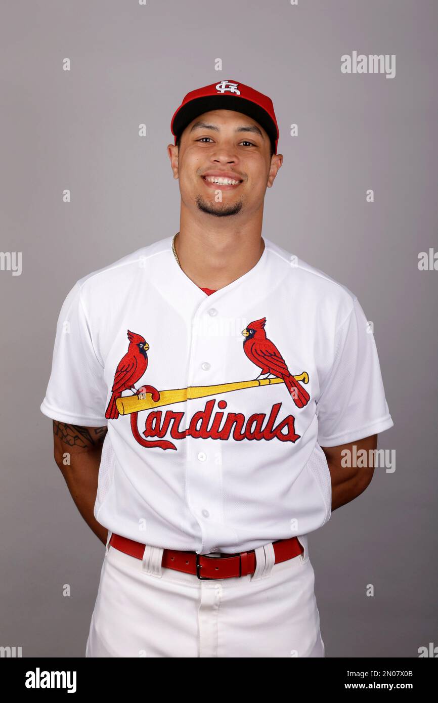 This is a 2016 photo of Sam Tuivailala of the St. Louis Cardinals ...