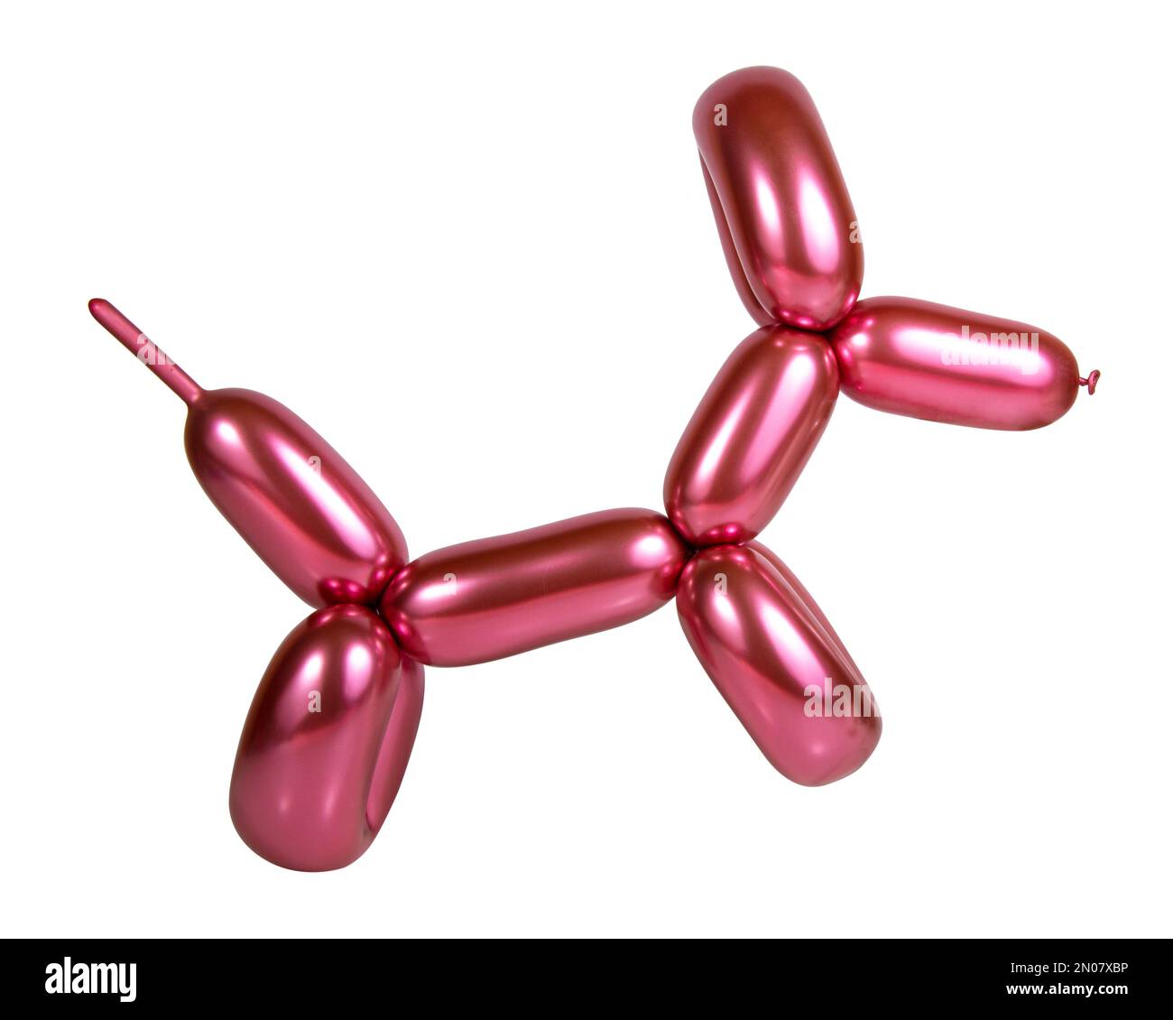 Fun craft balloon dog party isolated on the white background Stock ...