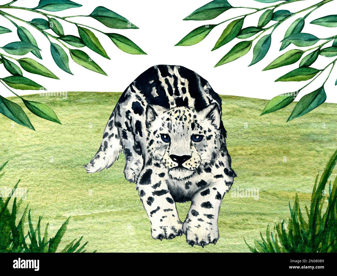 Watercolor wild forest animals: snow leopard kitten, irbis on forest ...