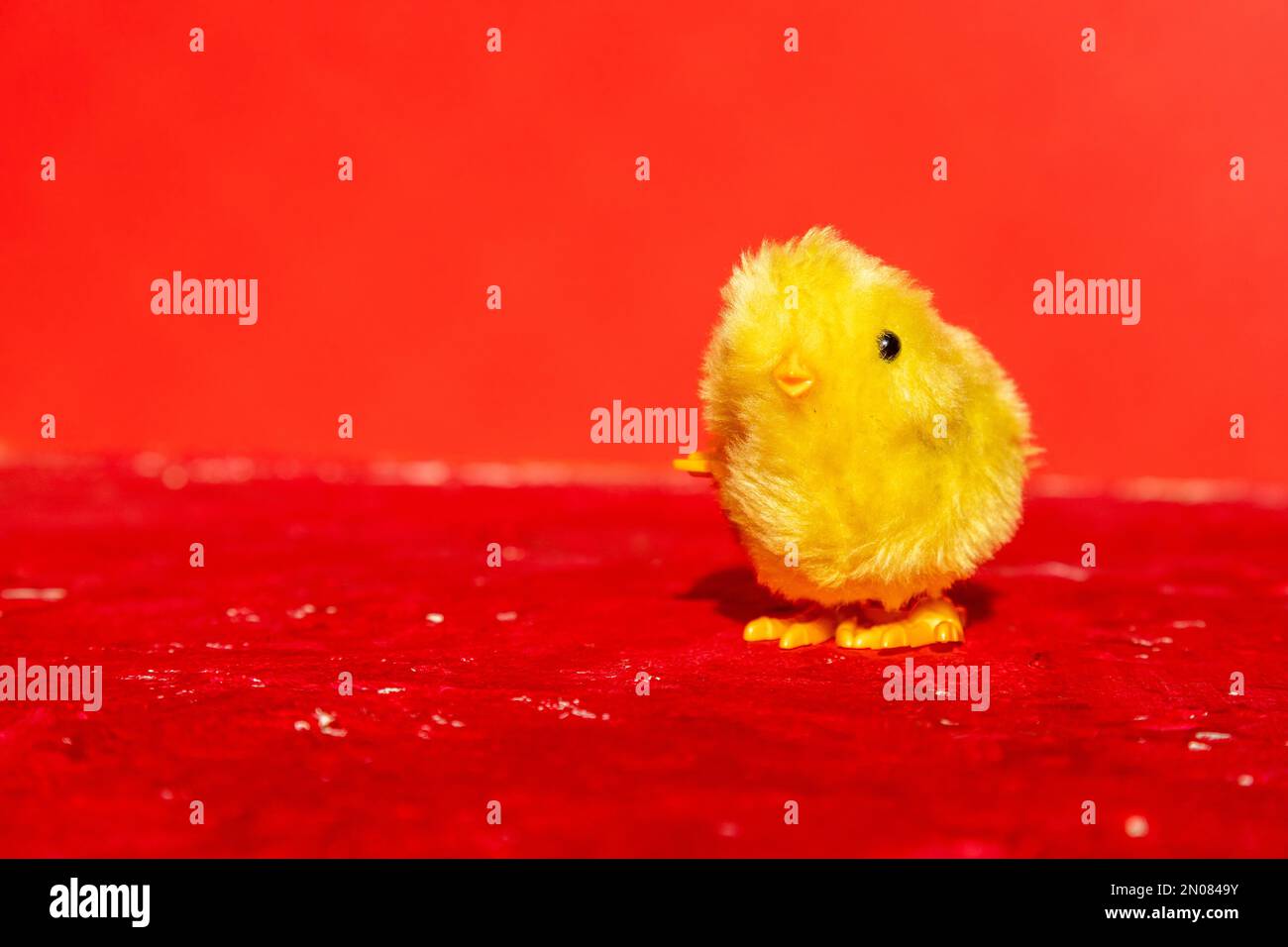 Cute little chick stands alone on a red background. Conceptual Stock ...