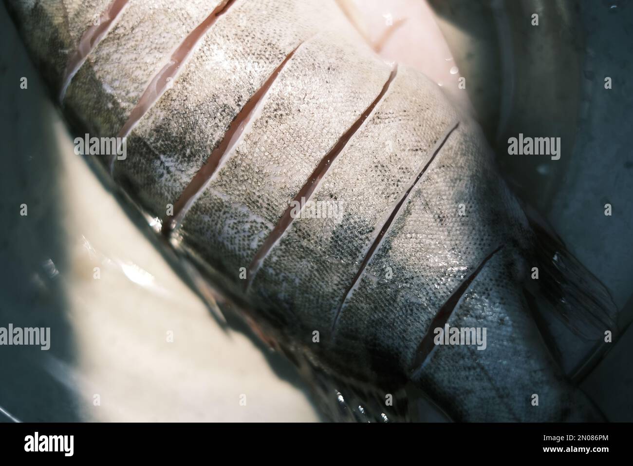 Open back fresh sea bass Stock Photo - Alamy