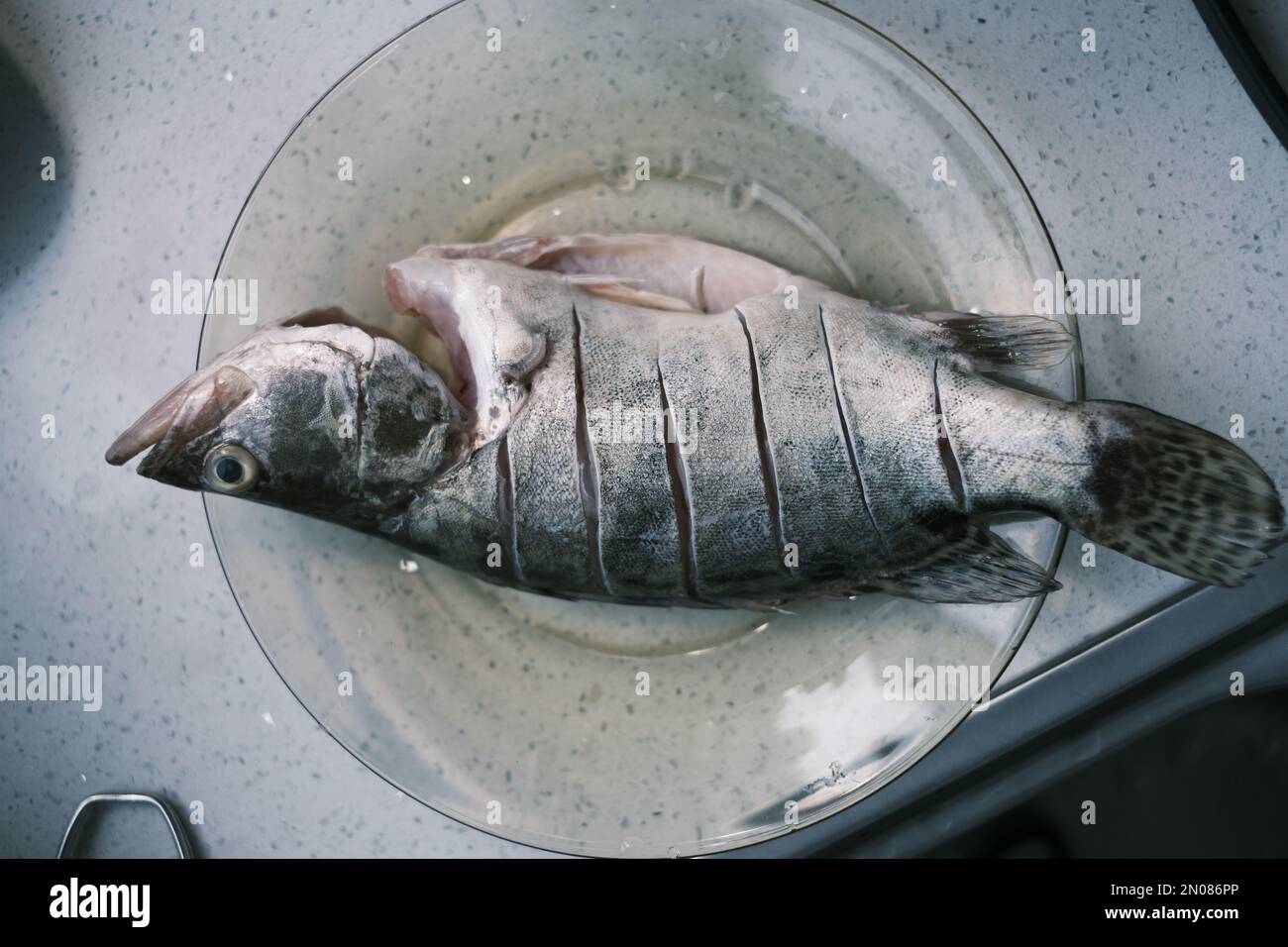Open back fresh sea bass Stock Photo - Alamy