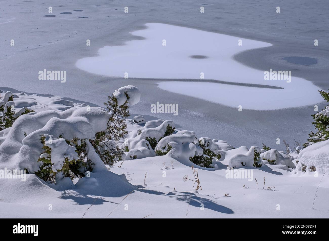 Beauty and majesty of nature: the exquisite natural forms of snow on ...