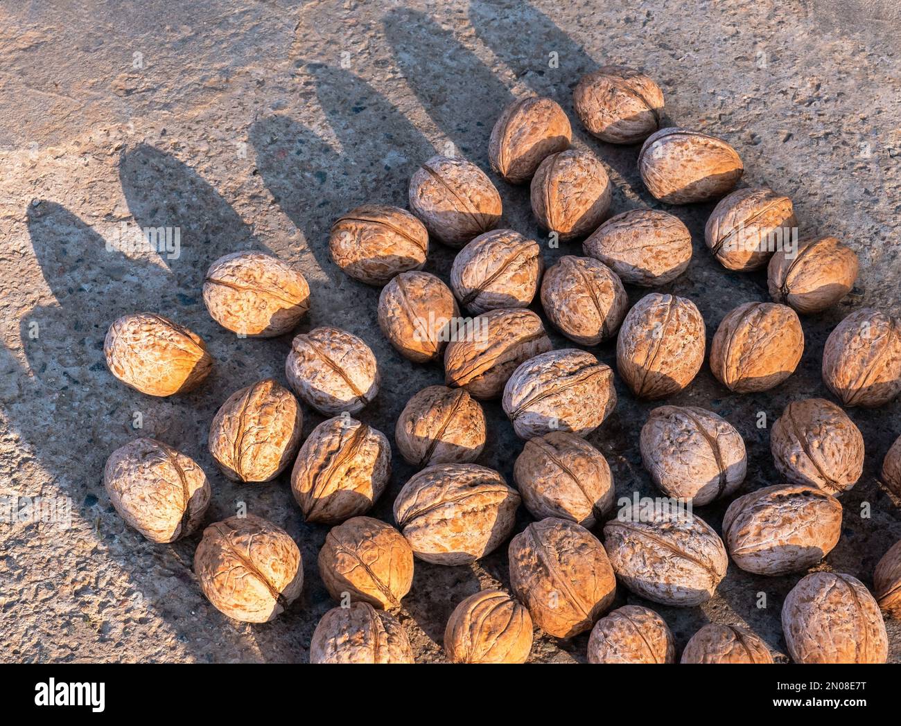 Soft cast hi-res stock photography and images - Alamy