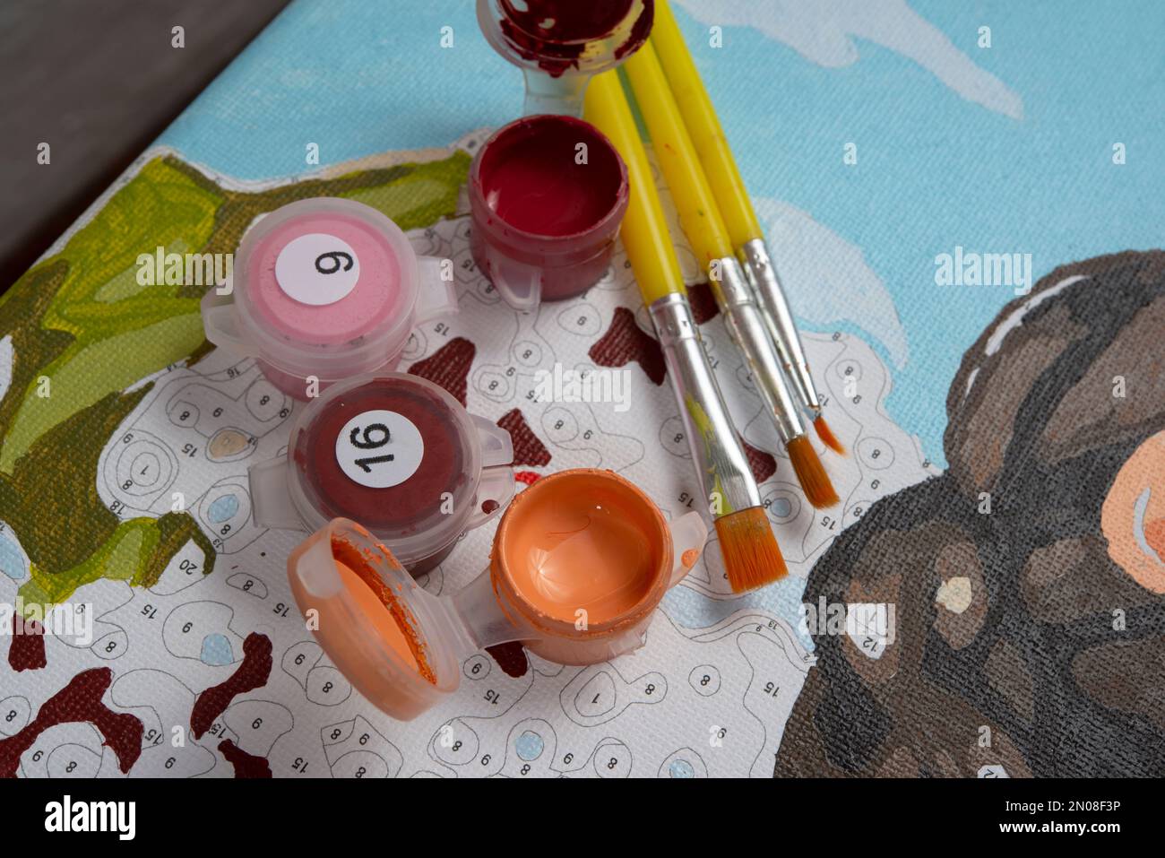 Painting by numbers. Set to paint the picture, includes a canvas ...
