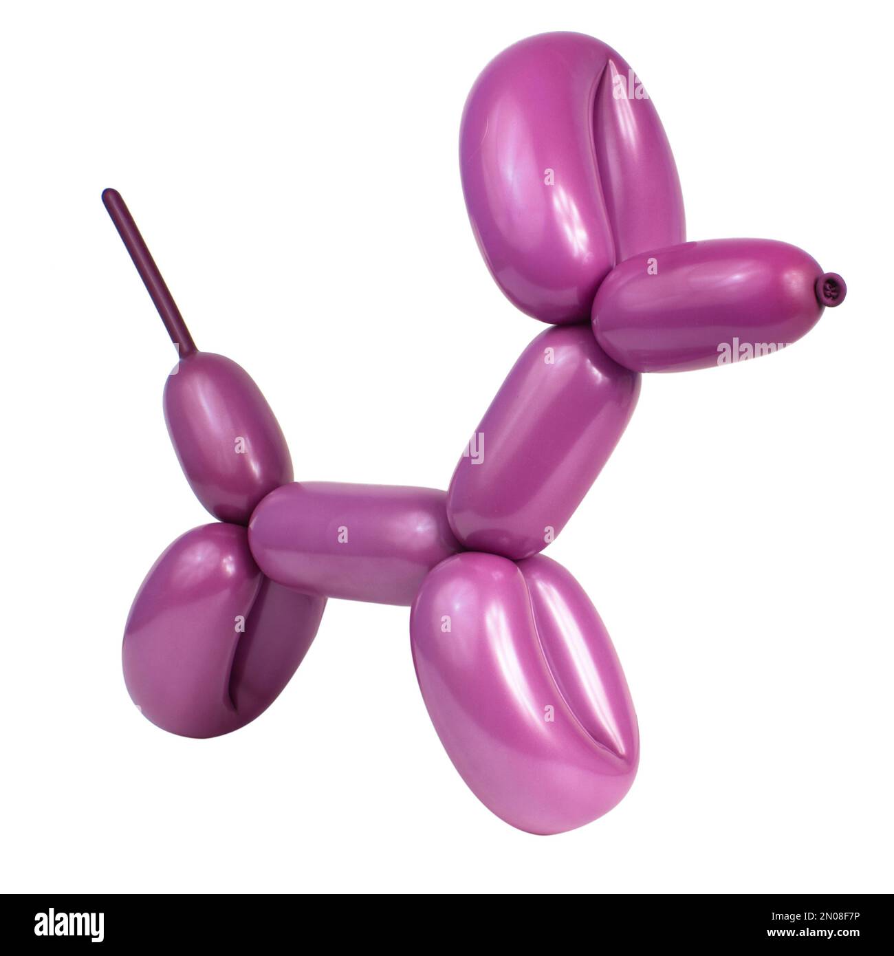 Party festive balloon dog twisting modeling isolated on the white ...
