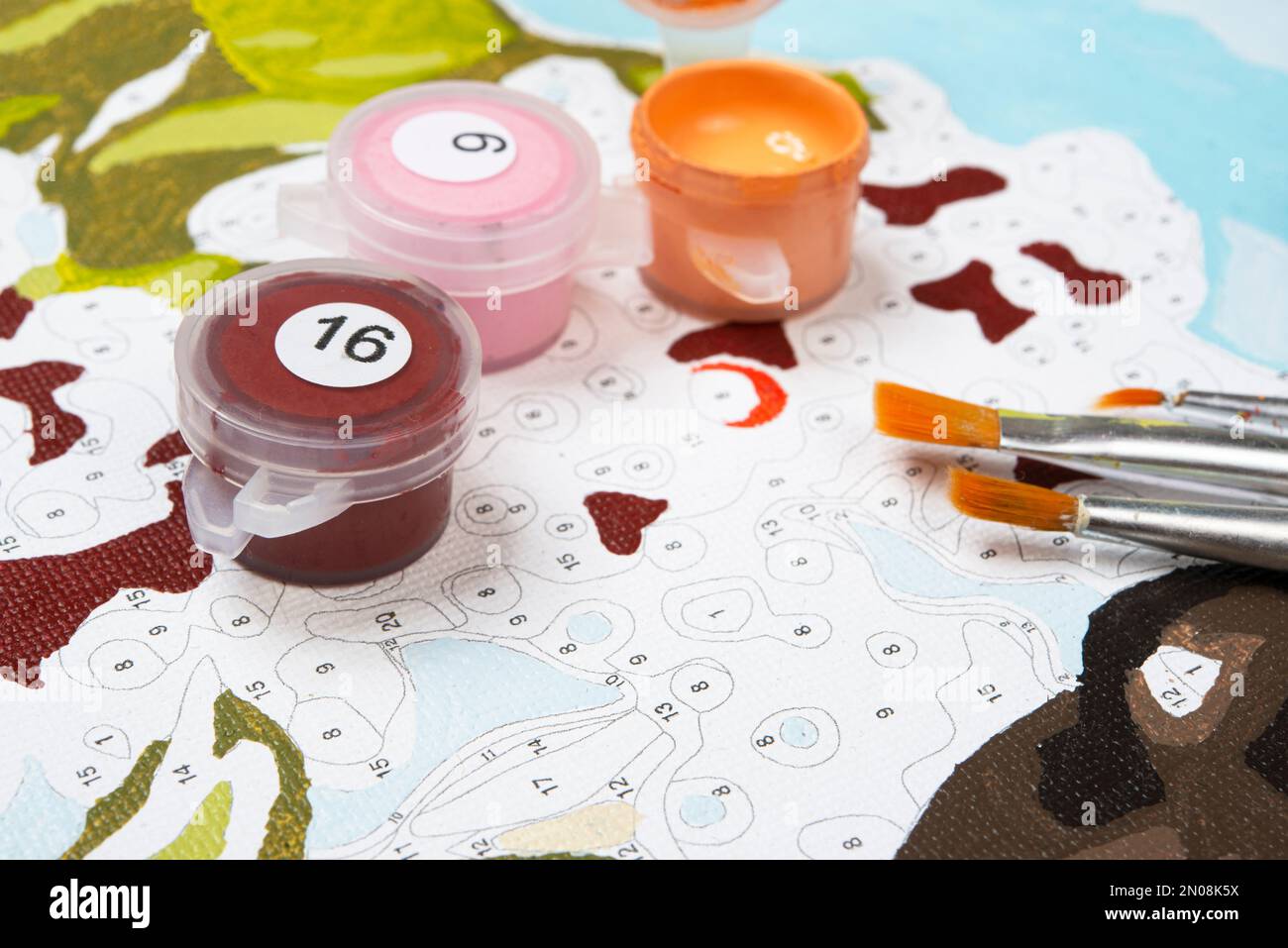 Painting by numbers. Set to paint the picture, includes a canvas ...