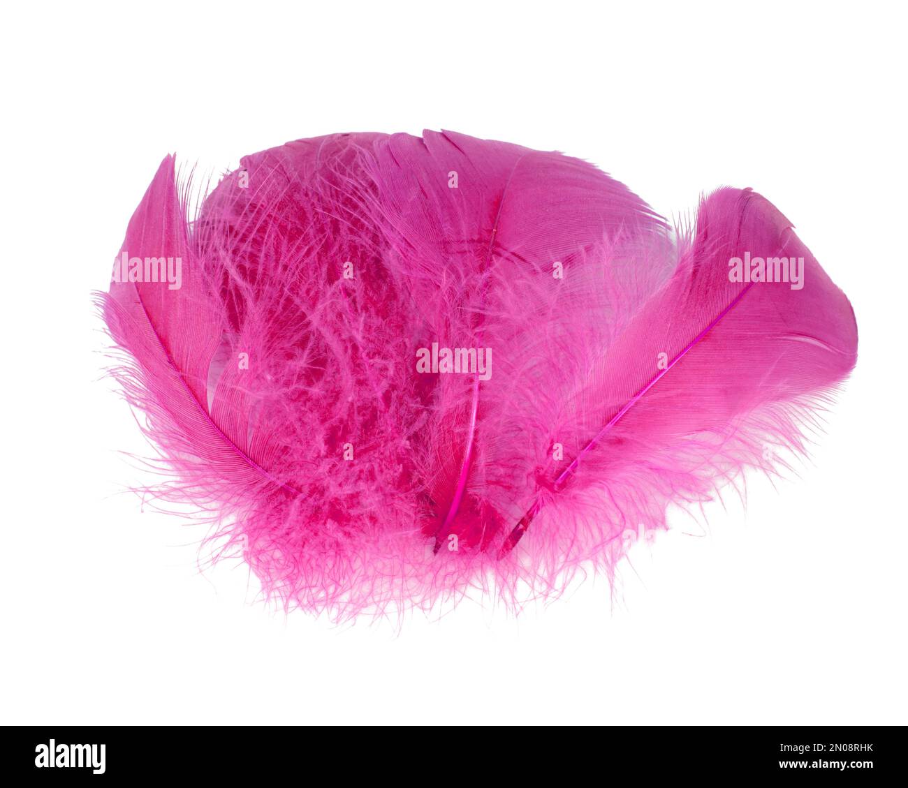 Elegant pink fluffy feather isolated on the white background Stock ...