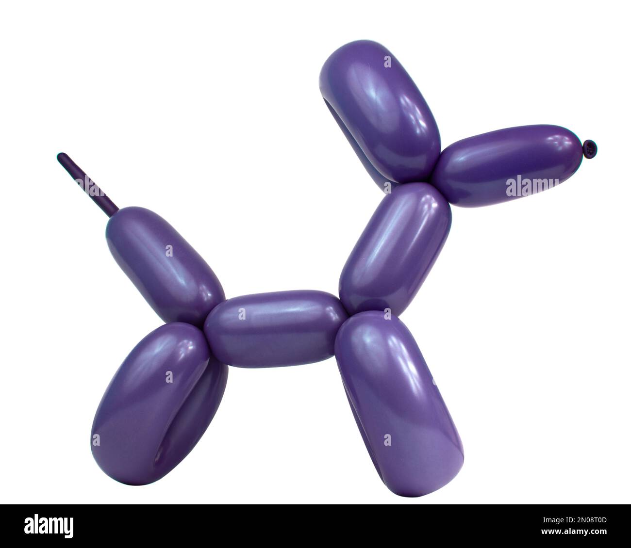 Bright balloon dog toy isolated on the white background Stock Photo - Alamy
