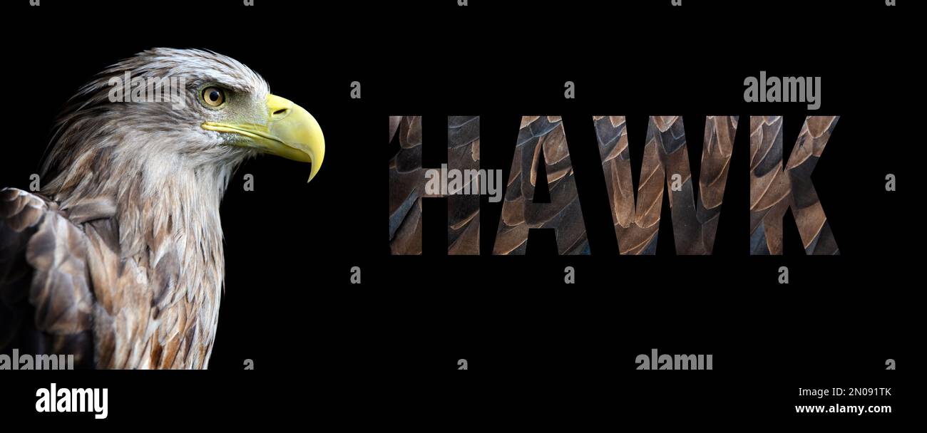 Portrait of hawk with a name on a black background. The text is from ...