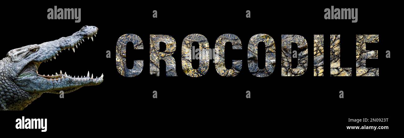 Portrait of crocodile with a name on a black background. The text is ...
