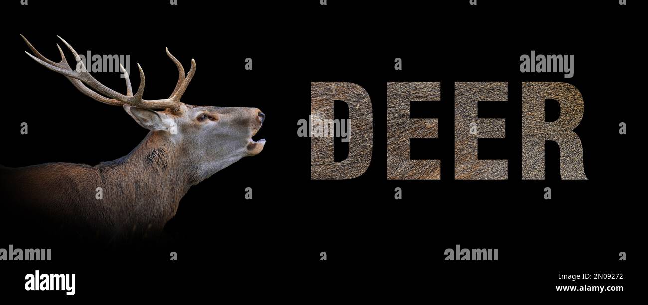 Portrait of deer with a name on a black background. The text is from ...
