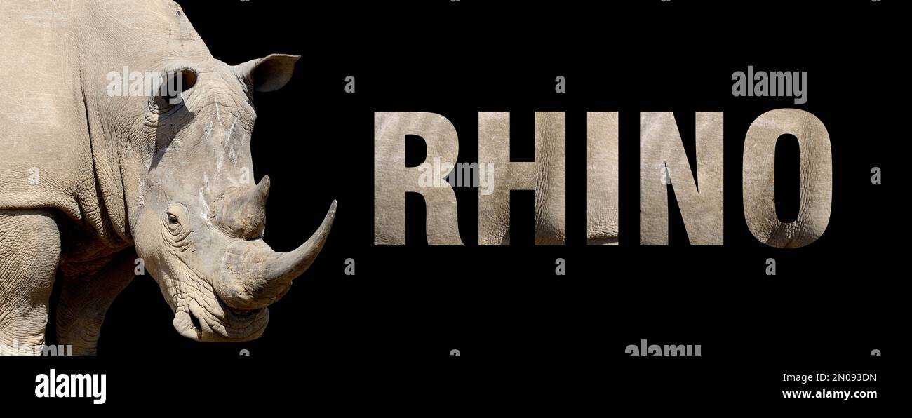 Portrait of rhinoceros with a name on a black background. The text is ...