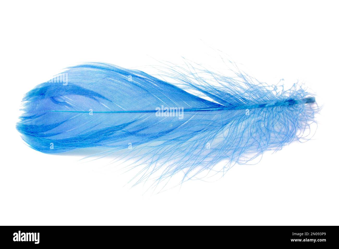 Elegant blue fluffy feather isolated on the white background Stock ...