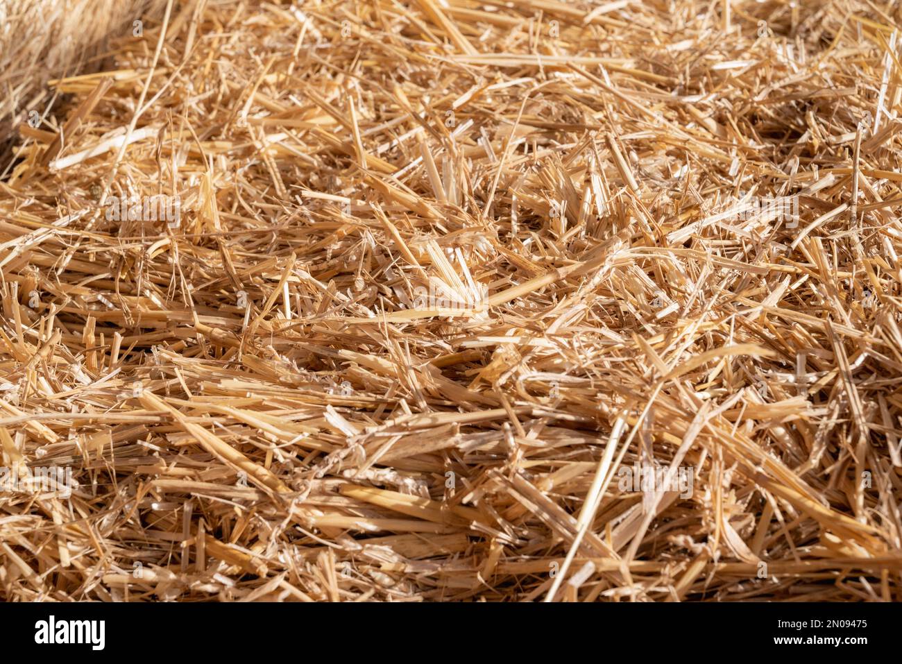 Pile of hay hi-res stock photography and images - Alamy