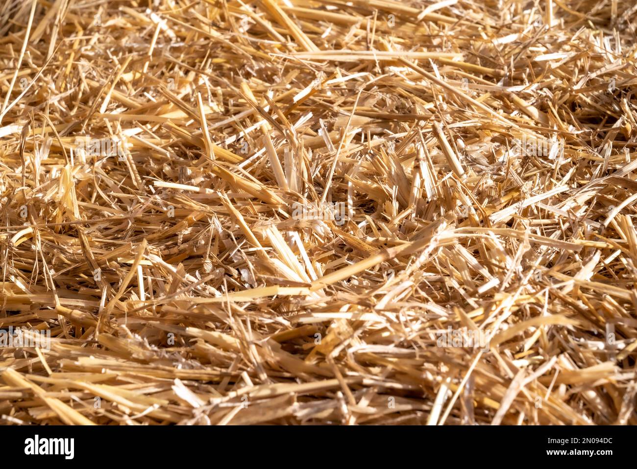 Pile of hay hi-res stock photography and images - Alamy
