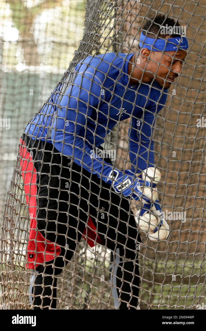 Kansas City Royals' Jarrod Dyson gathers balls after batting practice ...
