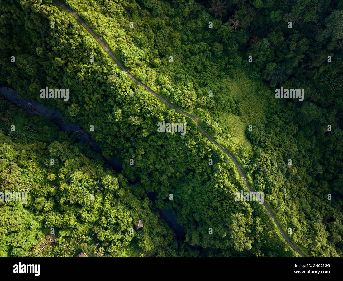 Aerial view of artist trail in Ubud, Bali Stock Photo - Alamy