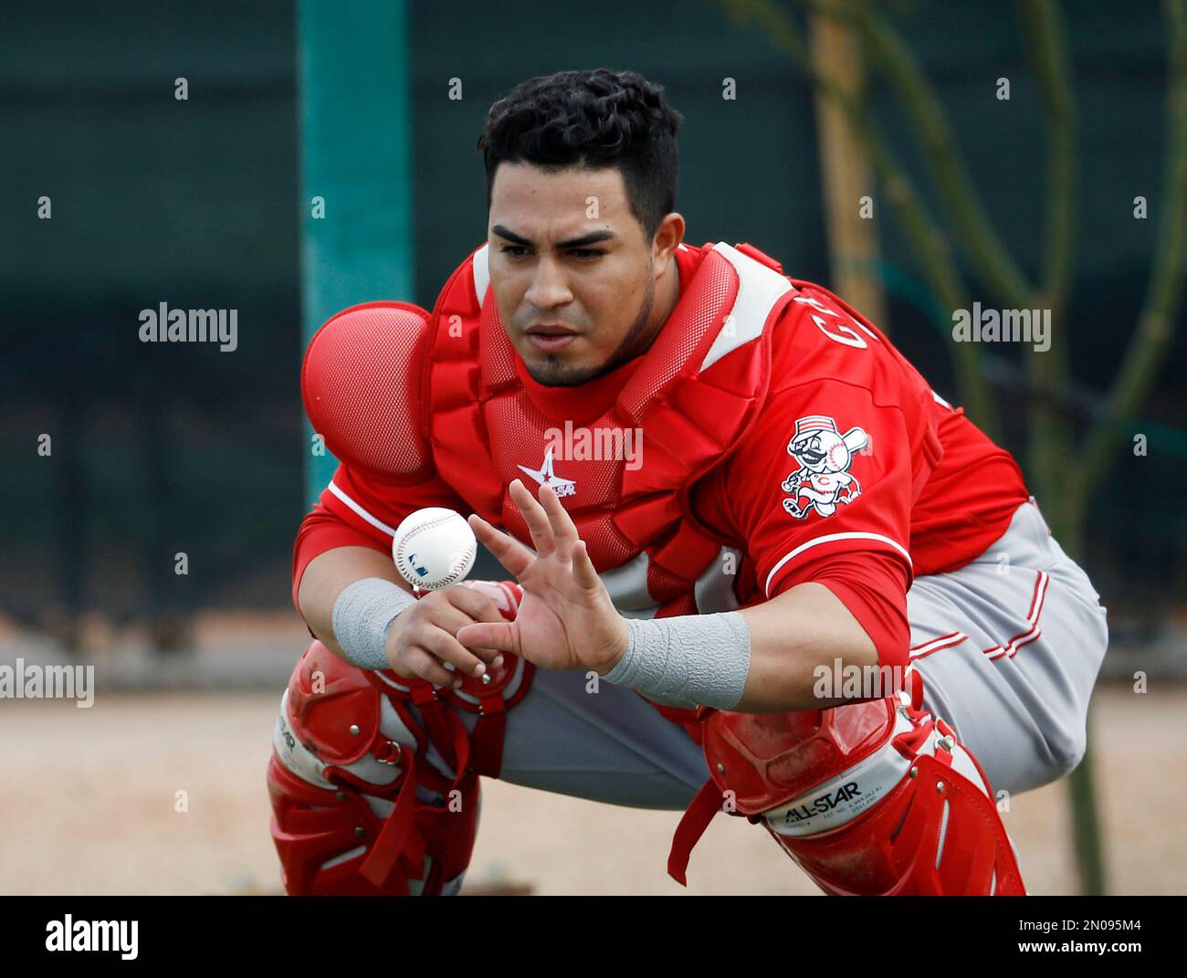 Cincinnati Reds catcher Ramon Cabrera catches a ball during a spring ...