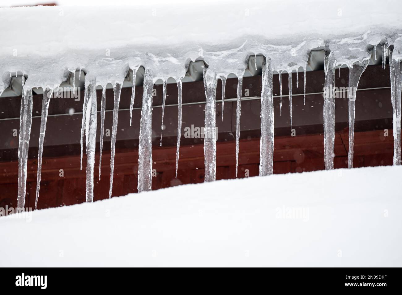 Dangerous sharp icicles and snow hanging from the roof. Dangerous ...