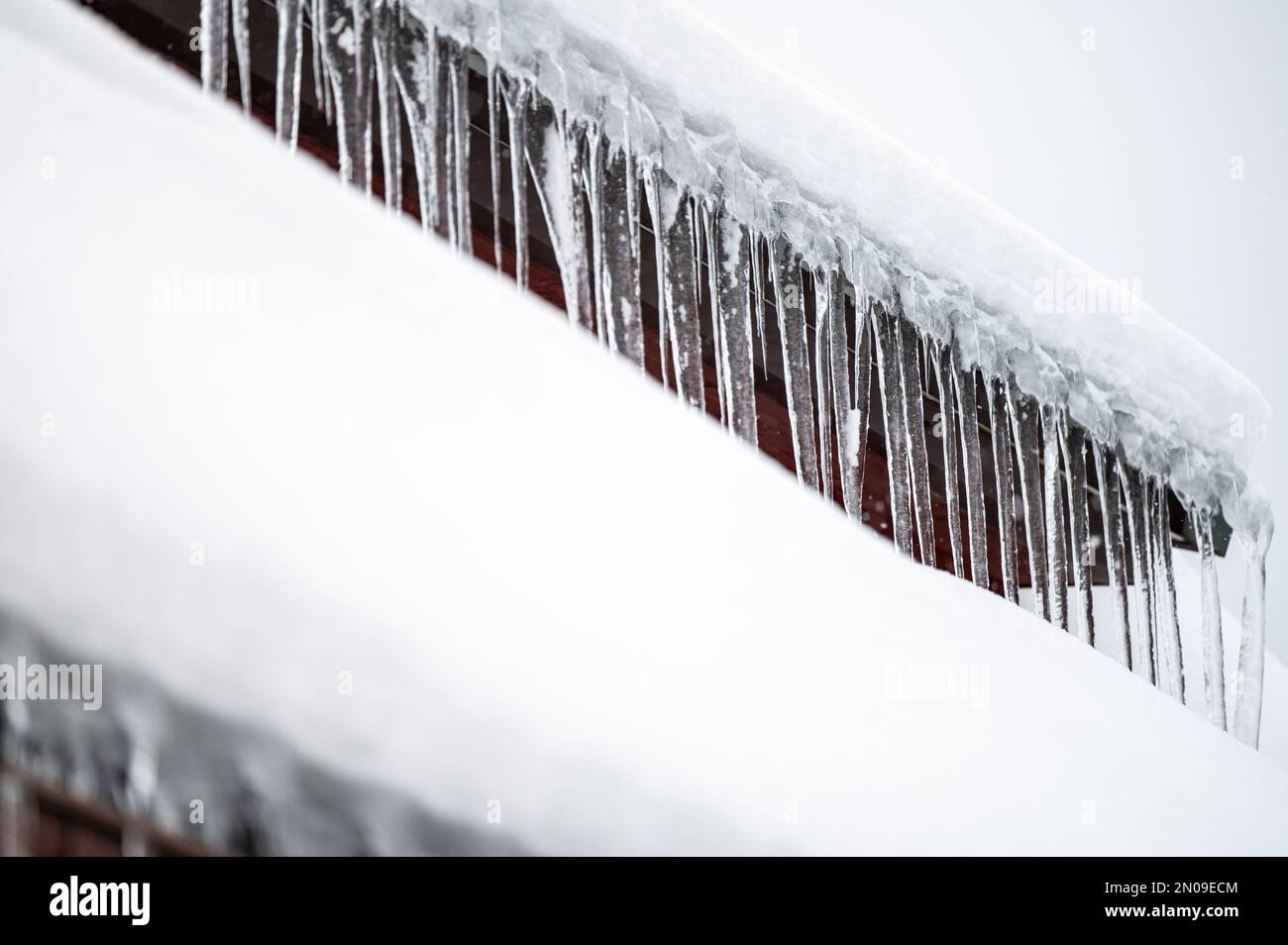 Dangerous sharp icicles and snow hanging from the roof. Dangerous ...