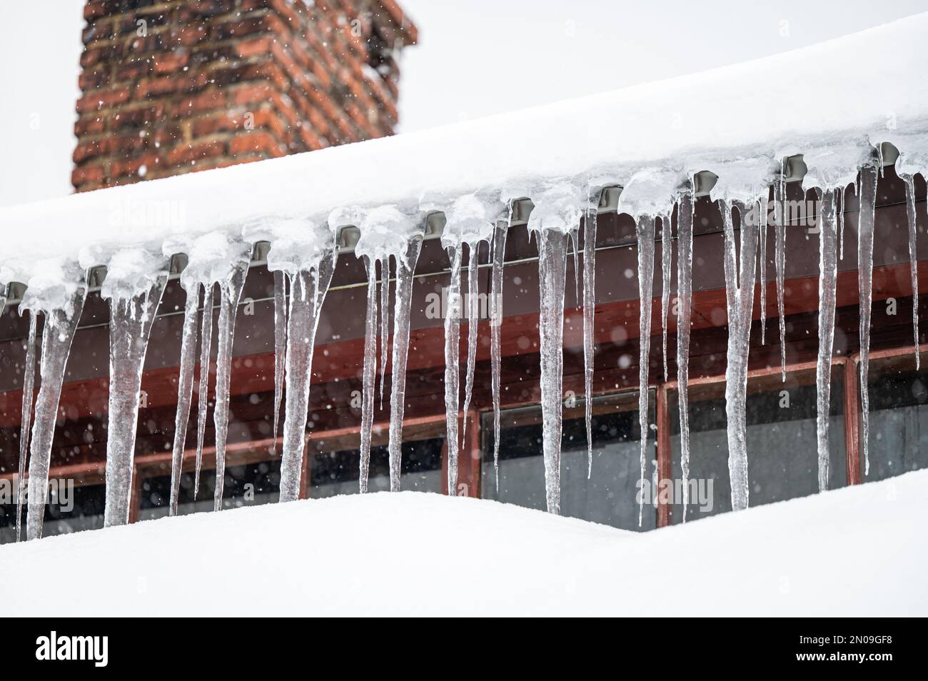 Dangerous sharp icicles and snow hanging from the roof. Dangerous ...