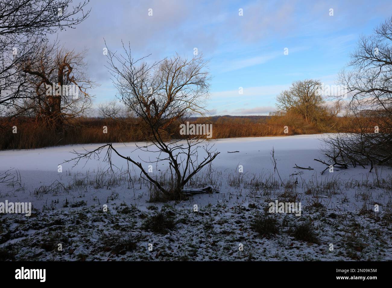 Winter scene with a frozen pond, County Durham, England, UK Stock Photo ...
