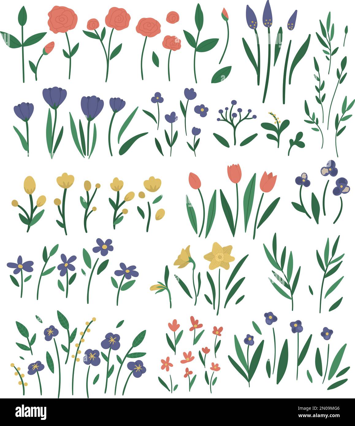 Big vector set of different flower elements. Garden decorative plants ...