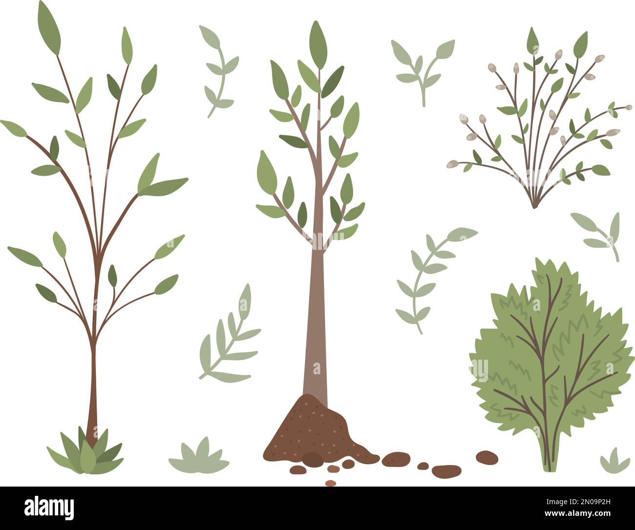 Vector set of trees, plants, shrubs, bushes, twigs isolated on white ...
