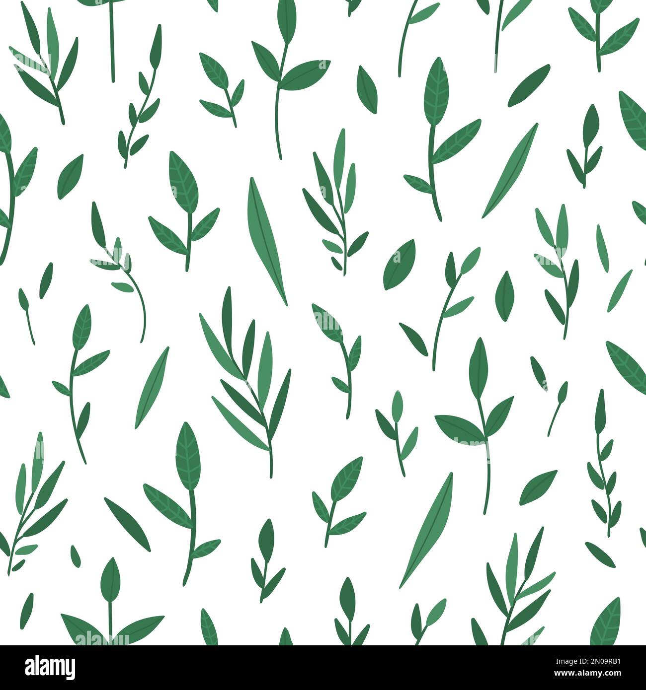 Vector seamless pattern with green branches. Garden repeating ...